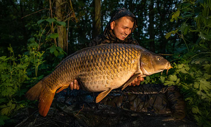 Fox Box EOS Loaded Large Tackle Box - Rybářské potřeby | Karel Nikl